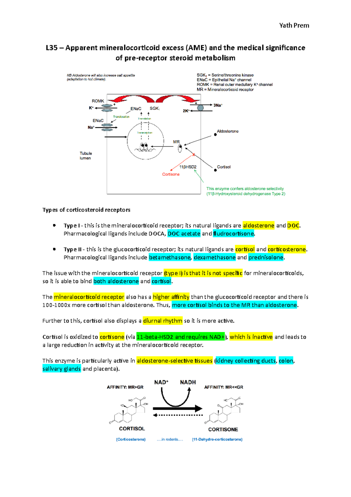 L35 – Apparent mineralocorticoid excess (AME) - Pharmacological ligands ...