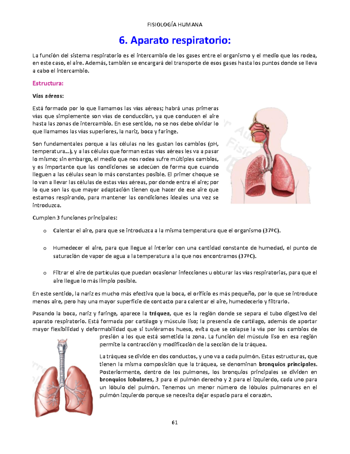 6. Aparato respiratorio - Warning: TT: undefined function: 32 Warning: TT: undefined function ...