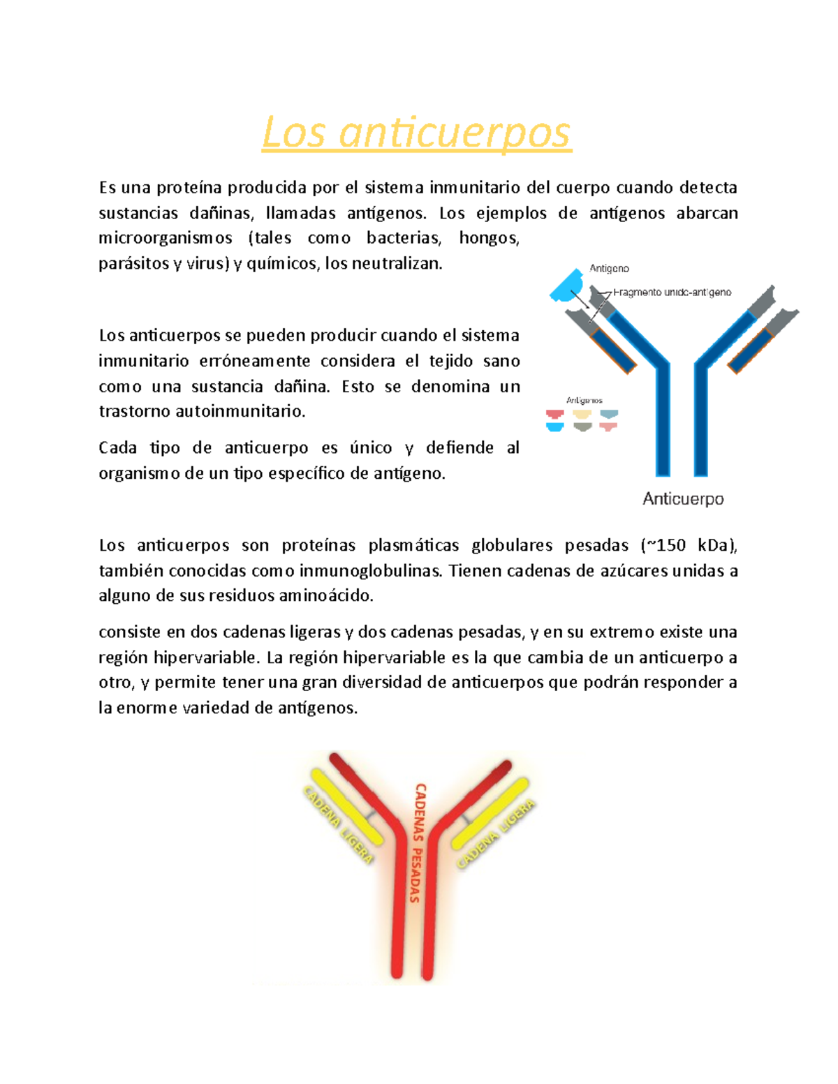 Los anticuerpos - notas - Los anticuerpos Es una proteína producida por ...