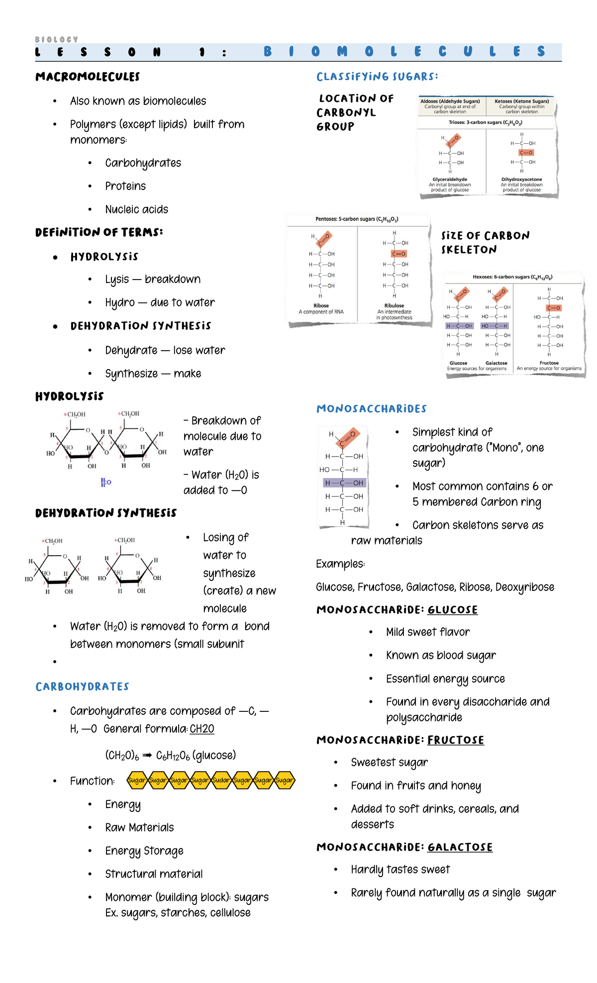 Lesson 1 Biomolecules - This is my senior high school notes, nung mga ...