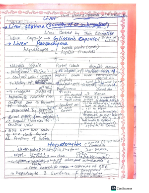 Mbbs Histology of Male Reproductive System - histology - CamScanner ...