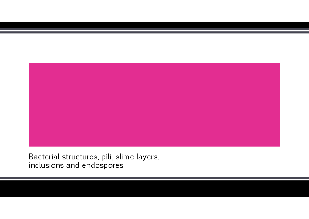 Bacterial structures, pili, slime layers, inclusions and endospores ...