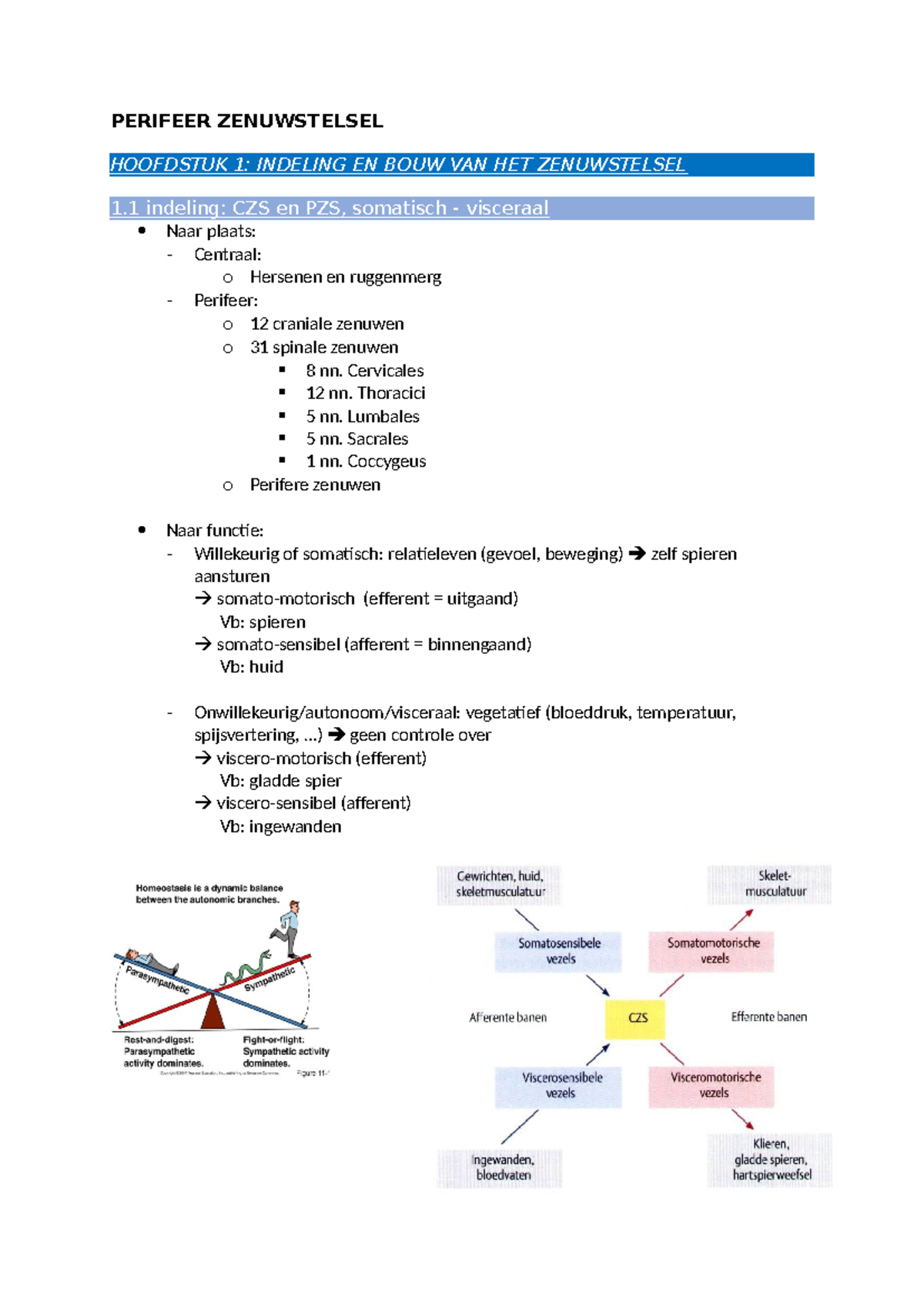 Samenvatting anatomie van het zenuwstelsel, les 1 - PERIFEER ...