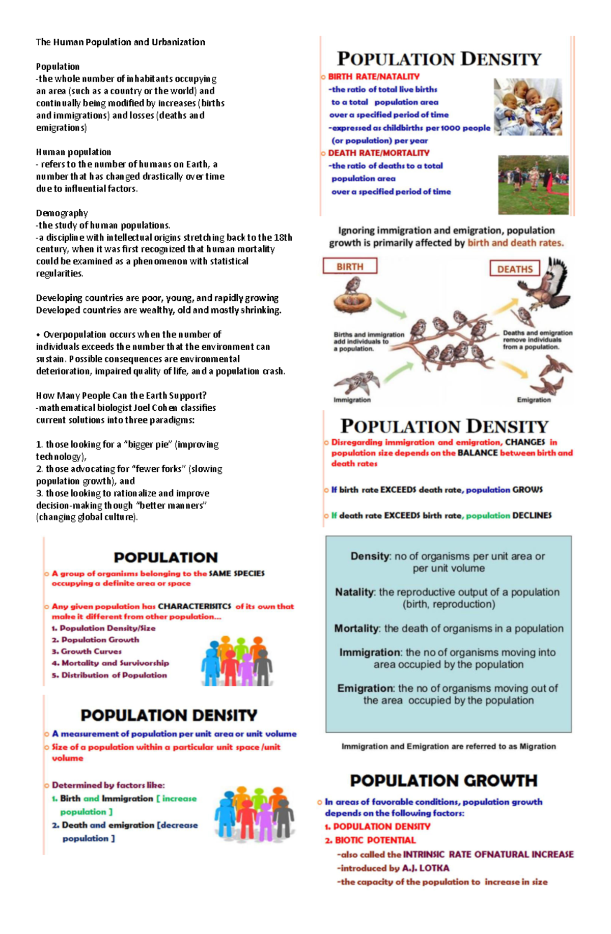The Human Population and Urbanization - The Human Population and ...