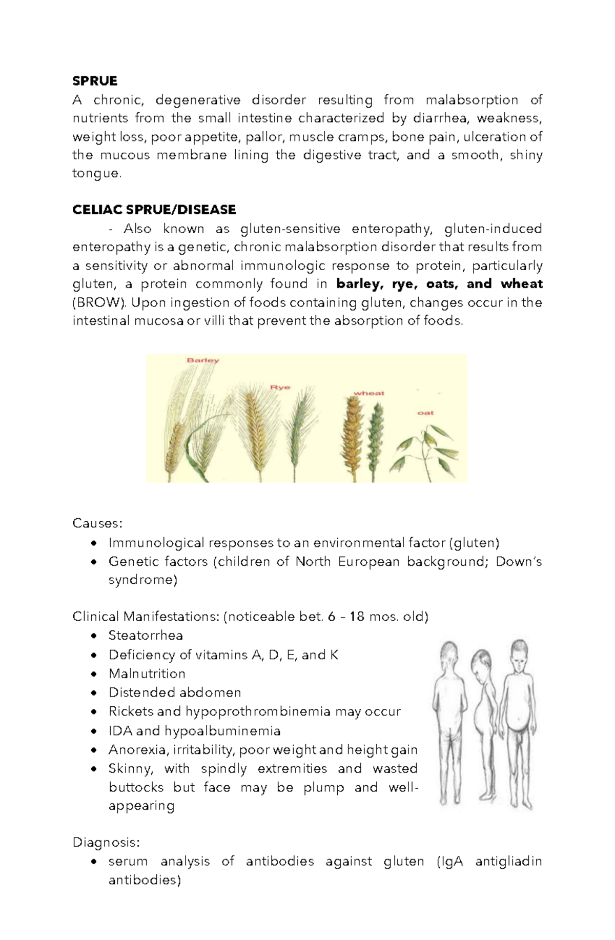 5 - What is Sprue or Celiac Sprue Disease? - SPRUE A chronic ...