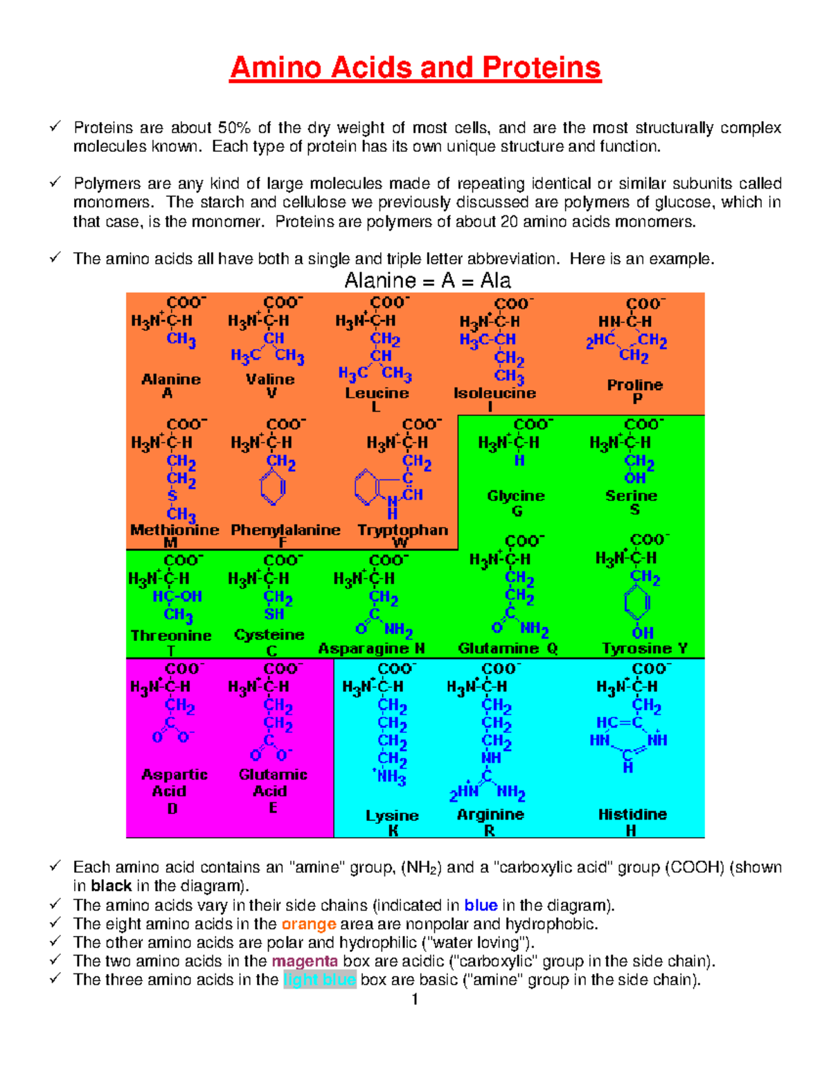 Amino acids and Protein ,their location and how they are made Handout ...