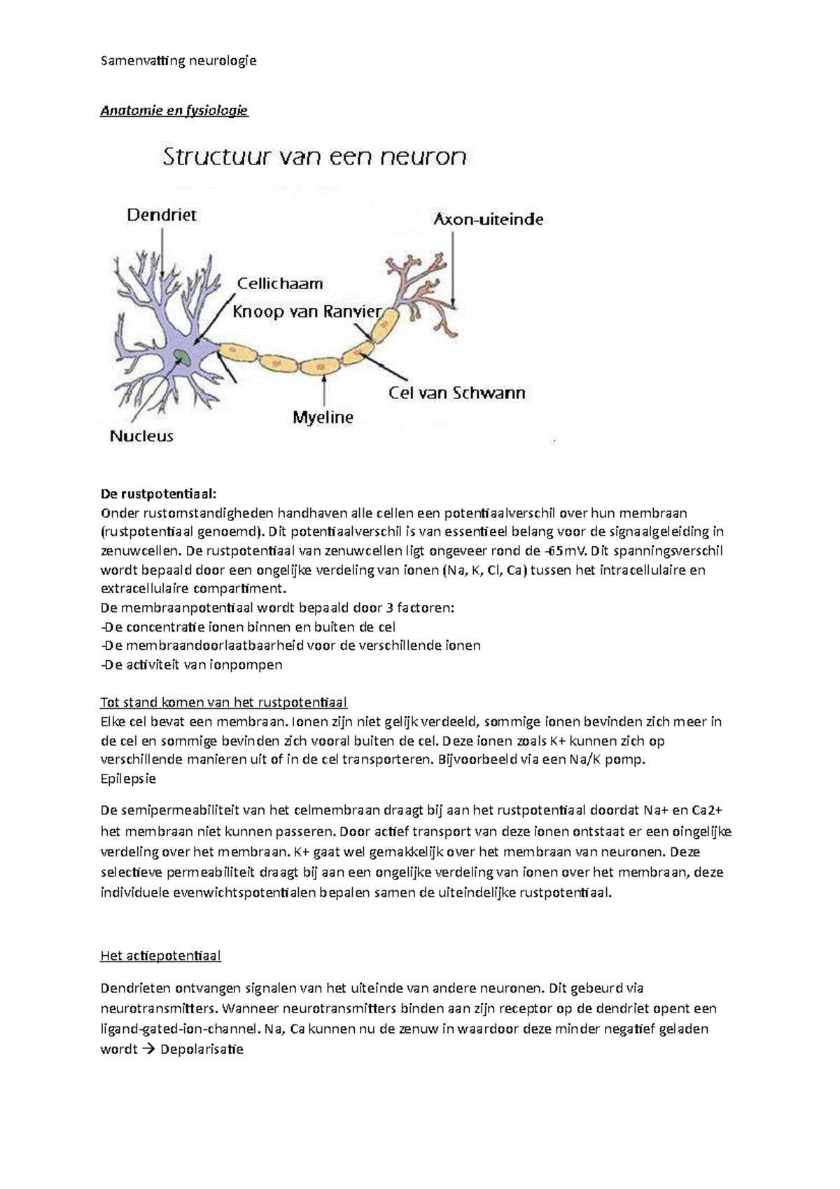 Samenvatting 203 - Anatomie en fysiologie De rustpotentiaal: Onder ... Samenvatting 203 - Anatomie en fysiologie De rustpotentiaal: Onder ...