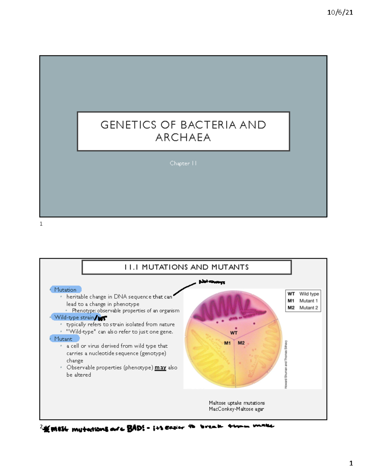 Module 8 - Microbiology notes unit 8 - GENETICS OF BACTERIA AND ARCHAEA ...