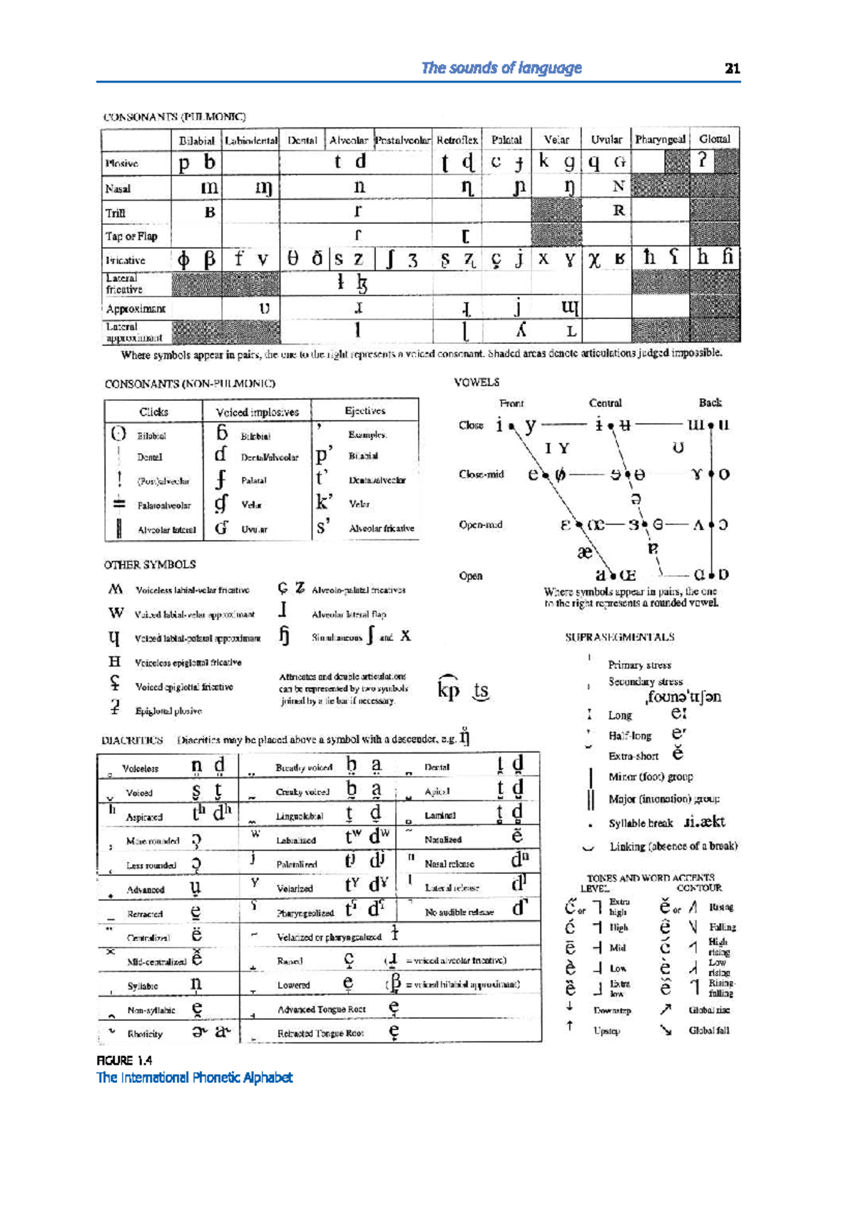 Tablas Consonants - Vowels - Diacritics Linguistica I - Lingüística I - Studocu