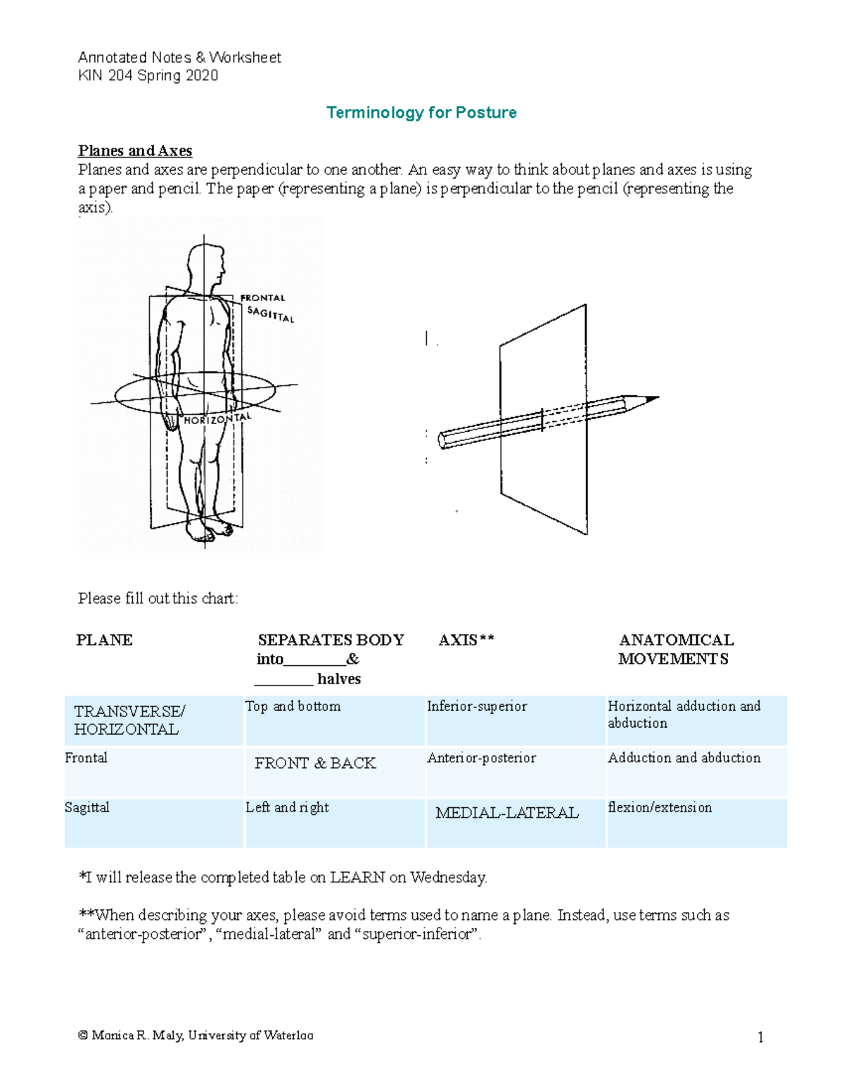 Annotated Note Posture Terminology - Annotated Notes & Worksheet KIN ...