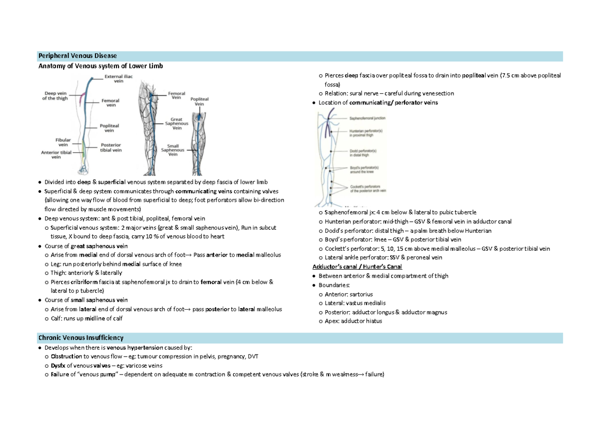 Peripheral Venous Disease - Venous dilatation Telangiectasia: spider ...