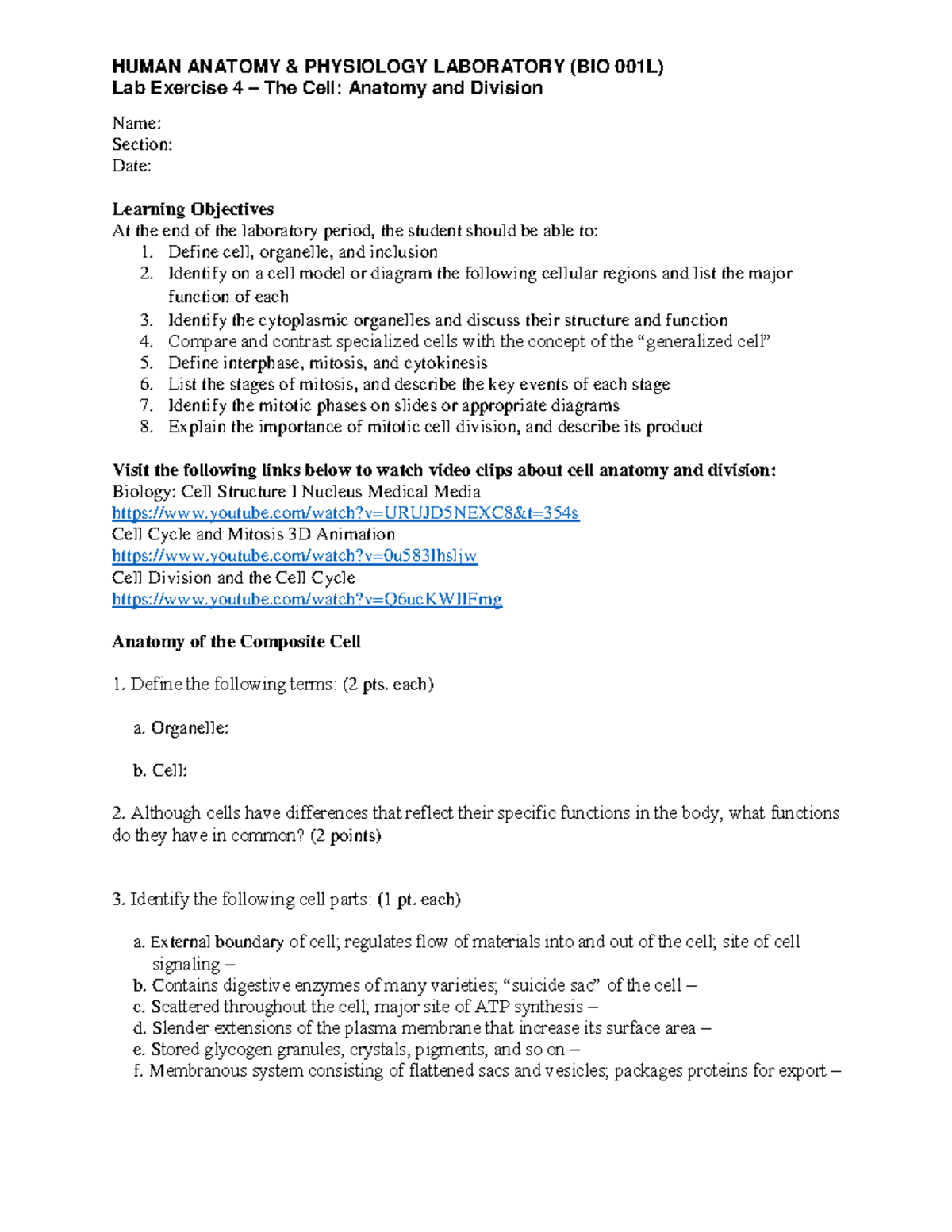 Lab Exercise 4 The Cell Anatomy and Division - Lab Exercise 4 – The ...