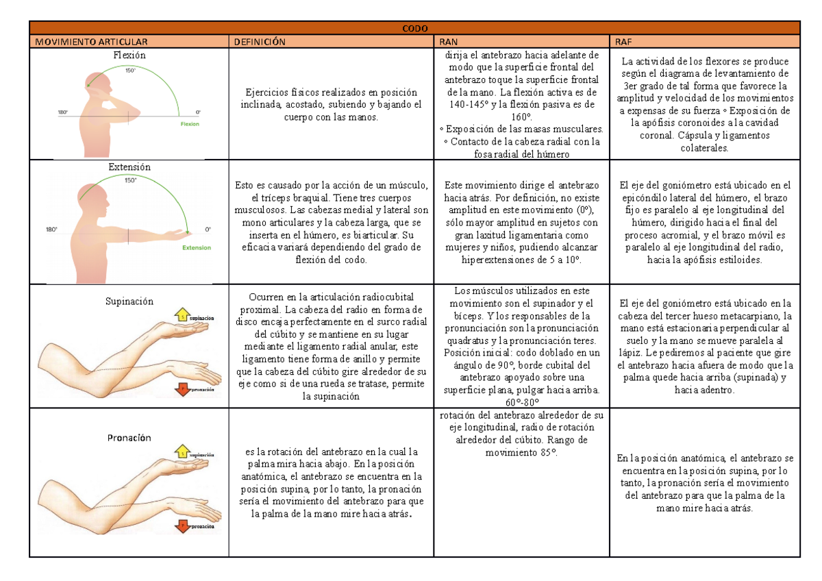 Codo - trabajo semana 3 - CODO MOVIMIENTO ARTICULAR DEFINICIÓN RAN RAF Flexión Ejercicios ...