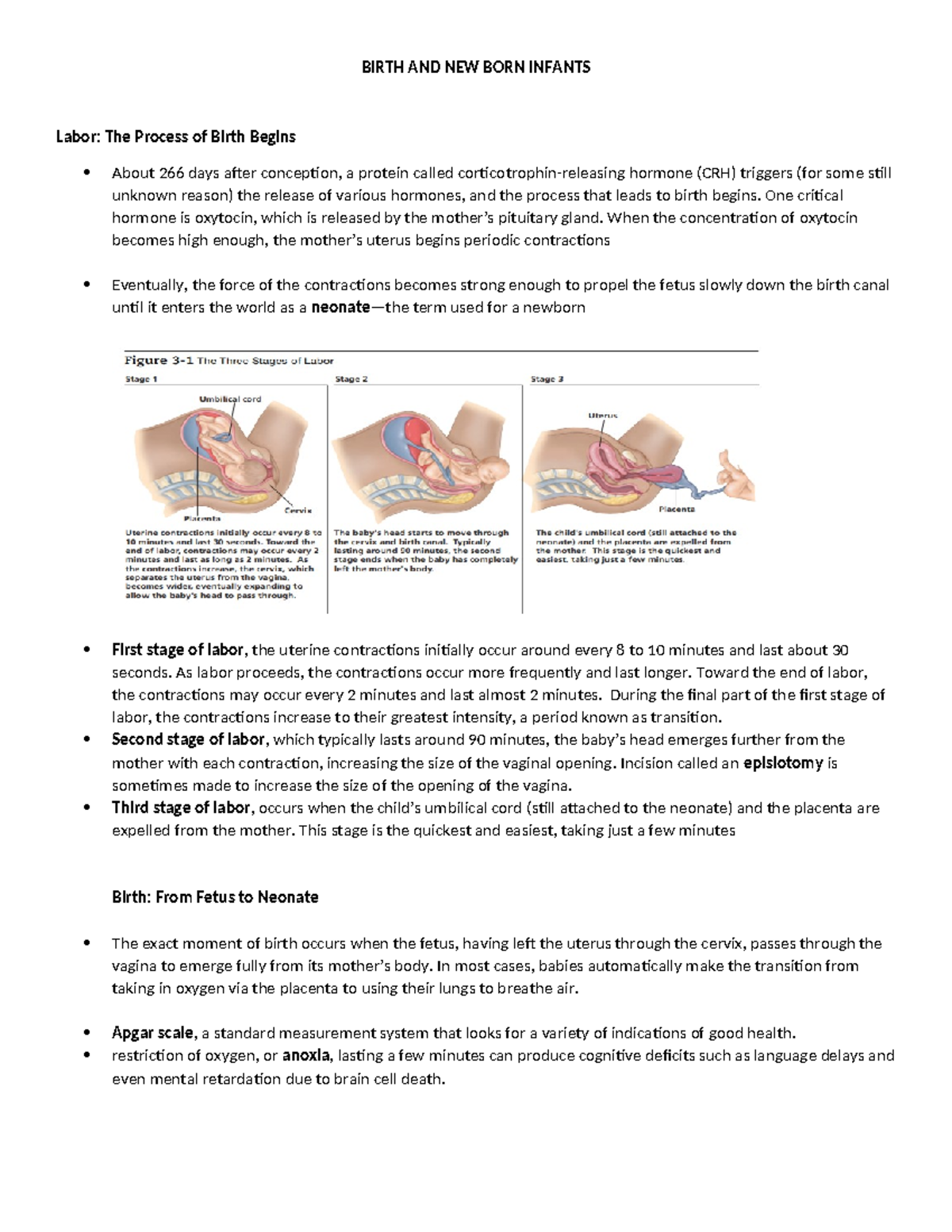 Birth AND NEW BORN Infants - BIRTH AND NEW BORN INFANTS Labor: The ...