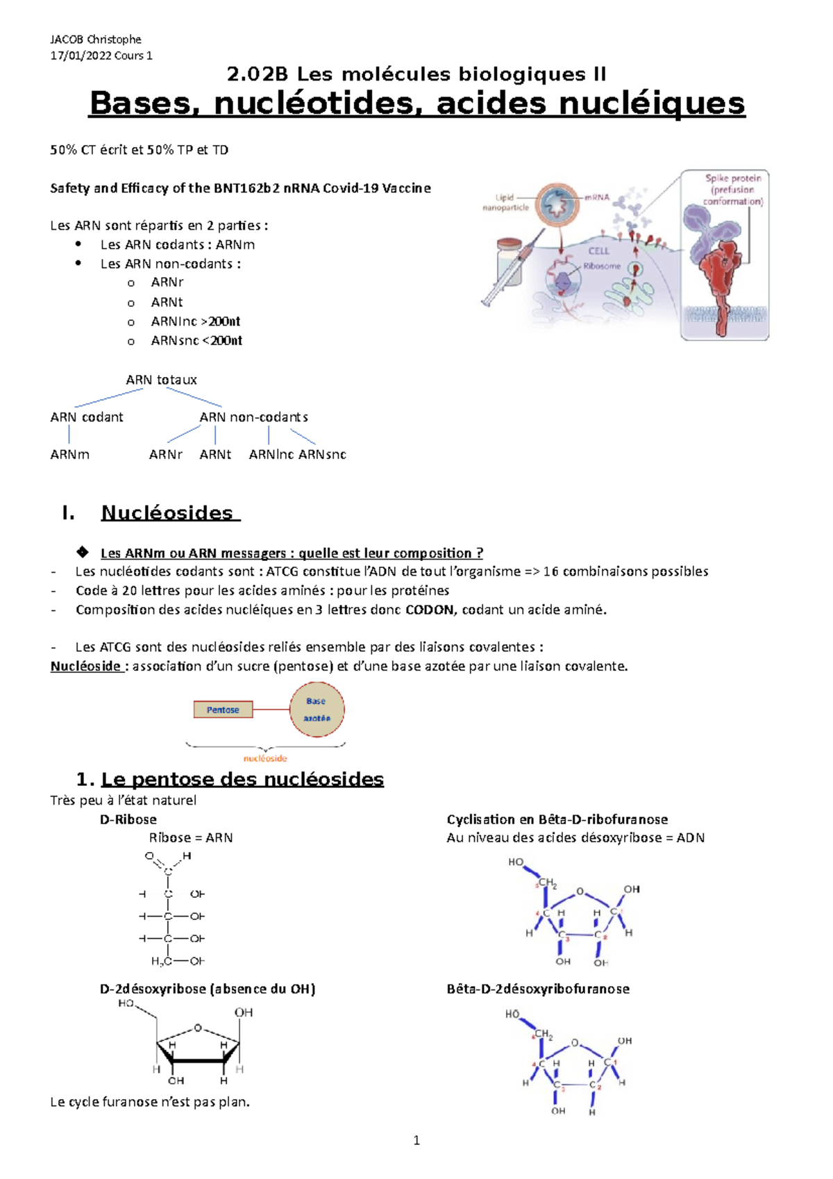 2.02B Bases, nucléotides, acides nucléiques Jacob Christophe - JACOB ...