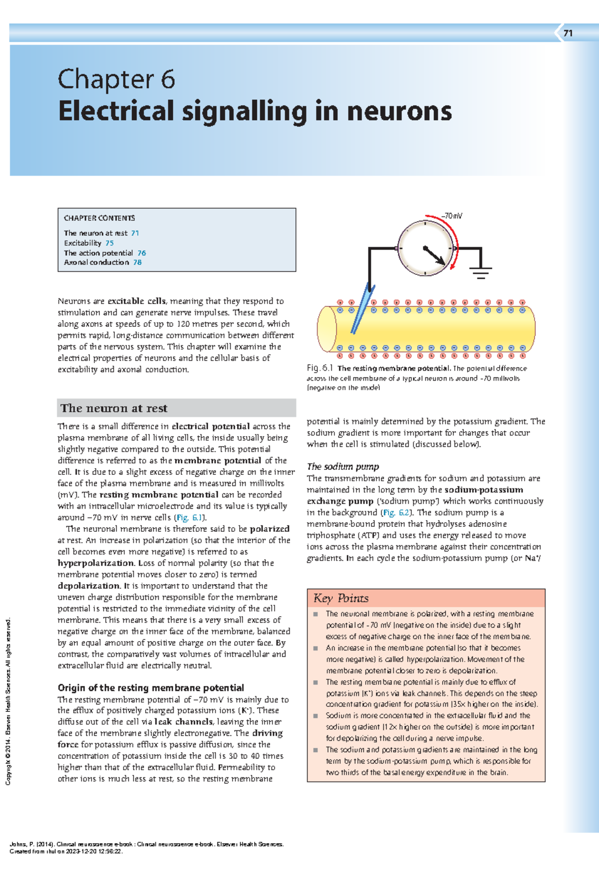 Lecture 3 - Chapter 6 Electrical signalling in neurons Neurons are ...