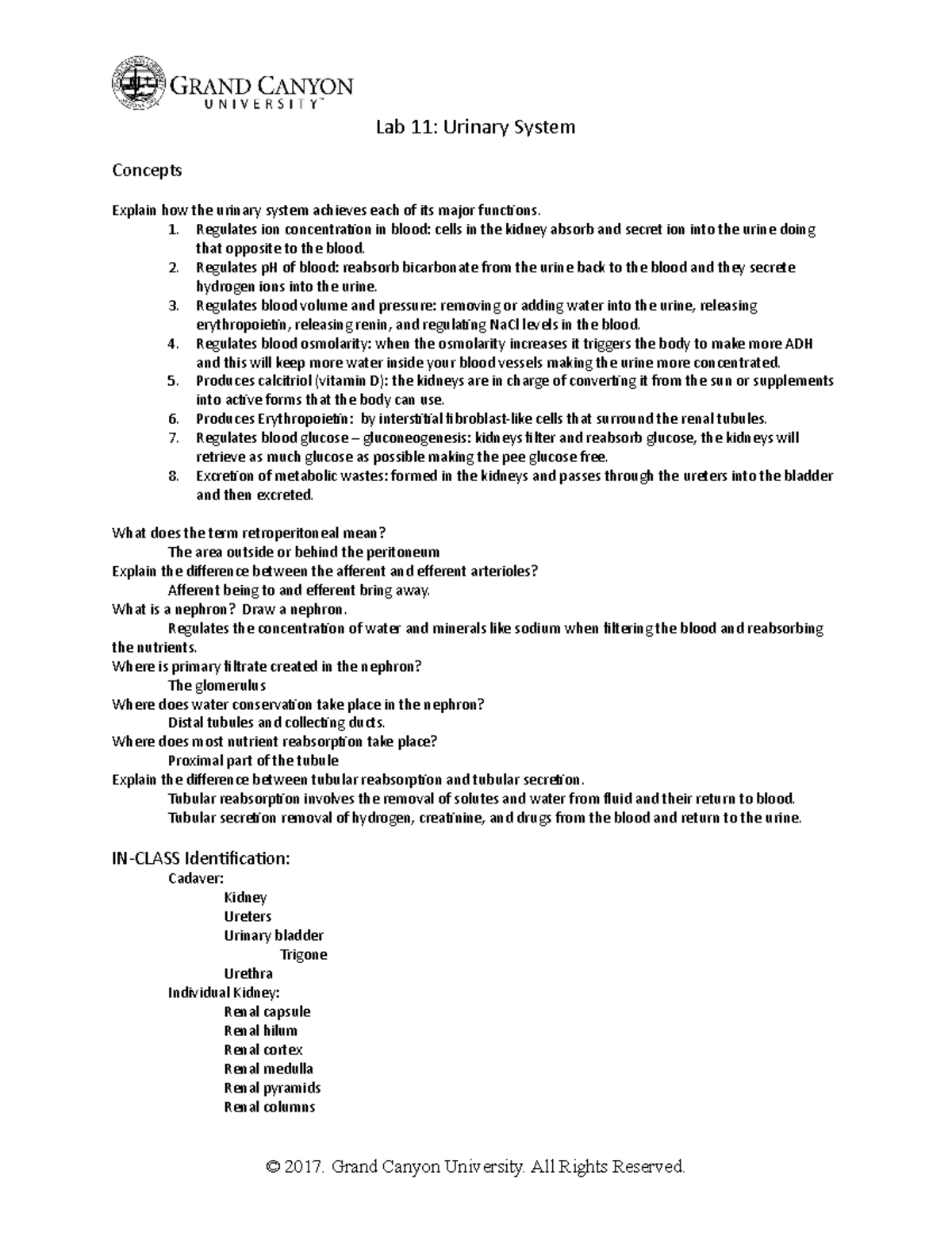 BIO 211 L - Terms List - Lab 11: Urinary System Concepts Explain how the urinary system achieves ...