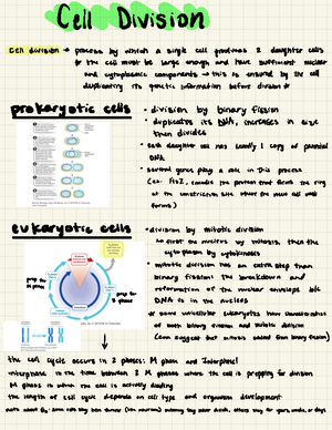 Inheritance - lecture by Dr. Rachel Woodruff - BIOL 14A - Studocu