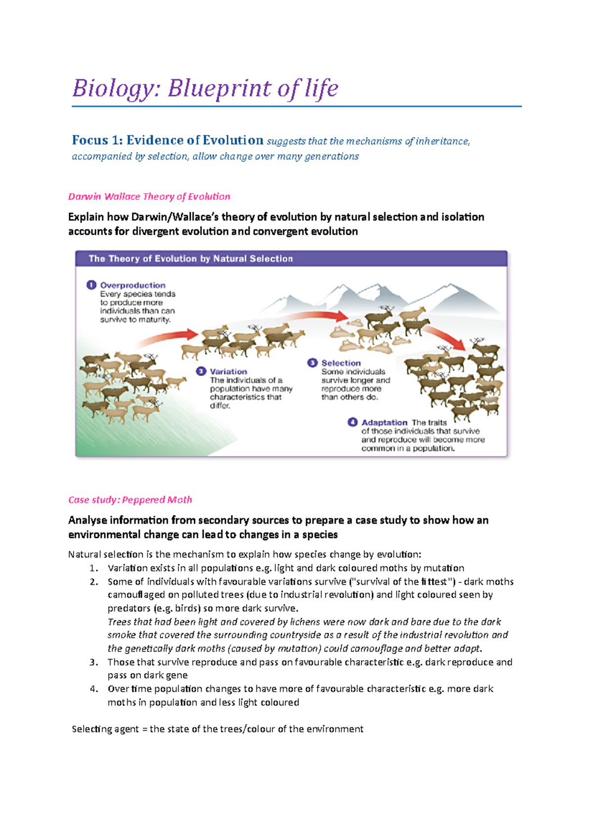 Biology Complete Notes - Blueprint of life - Biology: Blueprint of life ...