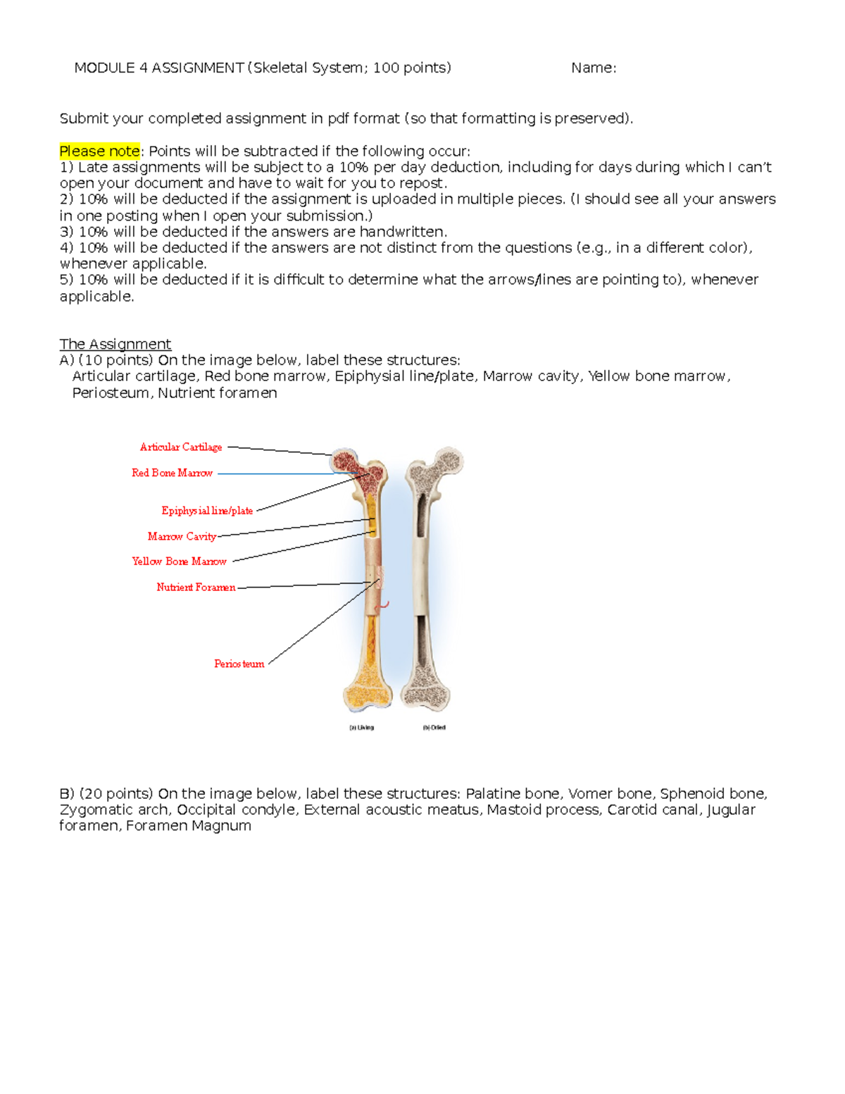 Mod 4 Assignment edited May 2022 - MODULE 4 ASSIGNMENT (Skeletal System ...