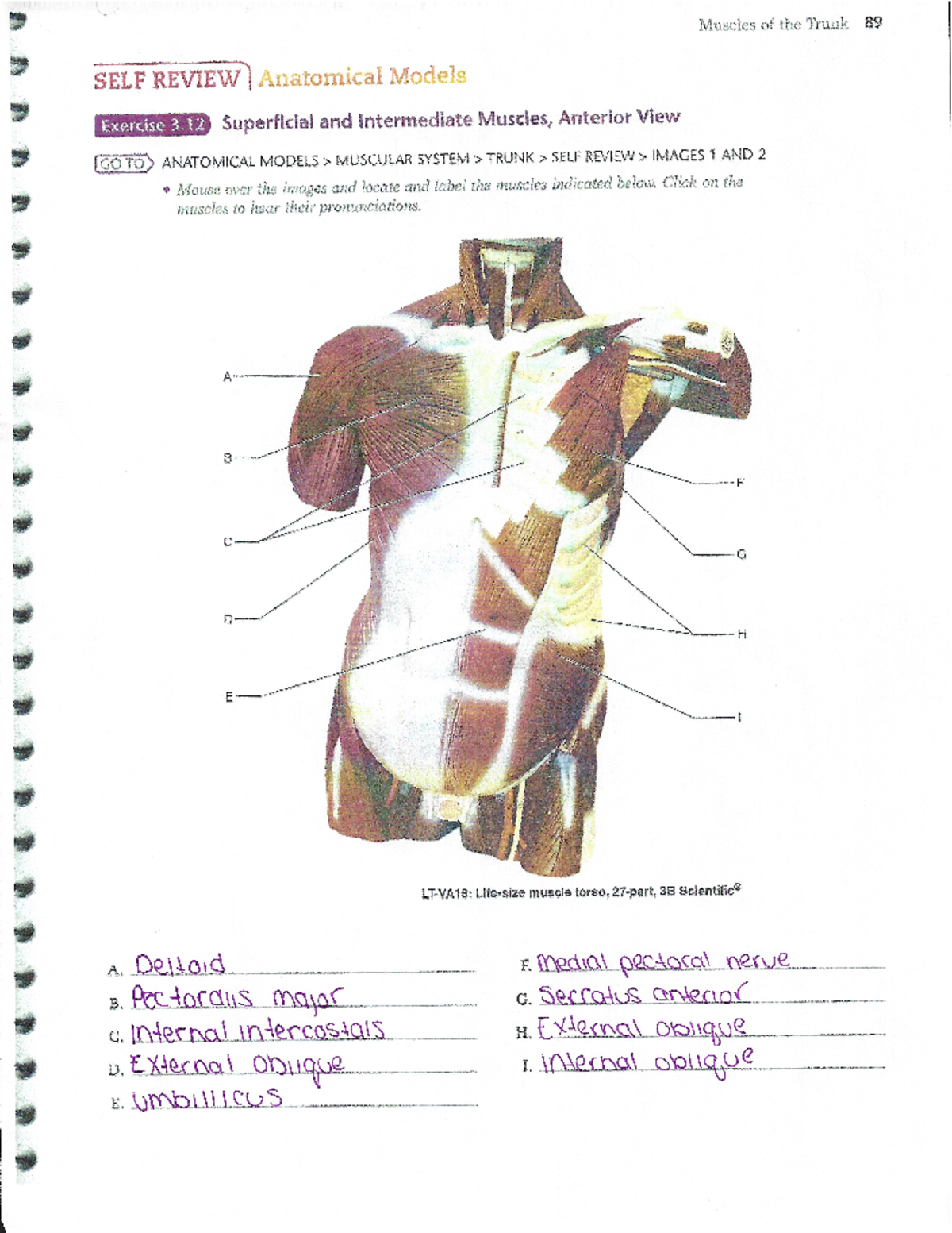 Lab #9 - lab work - BIOL 2201 - Studocu