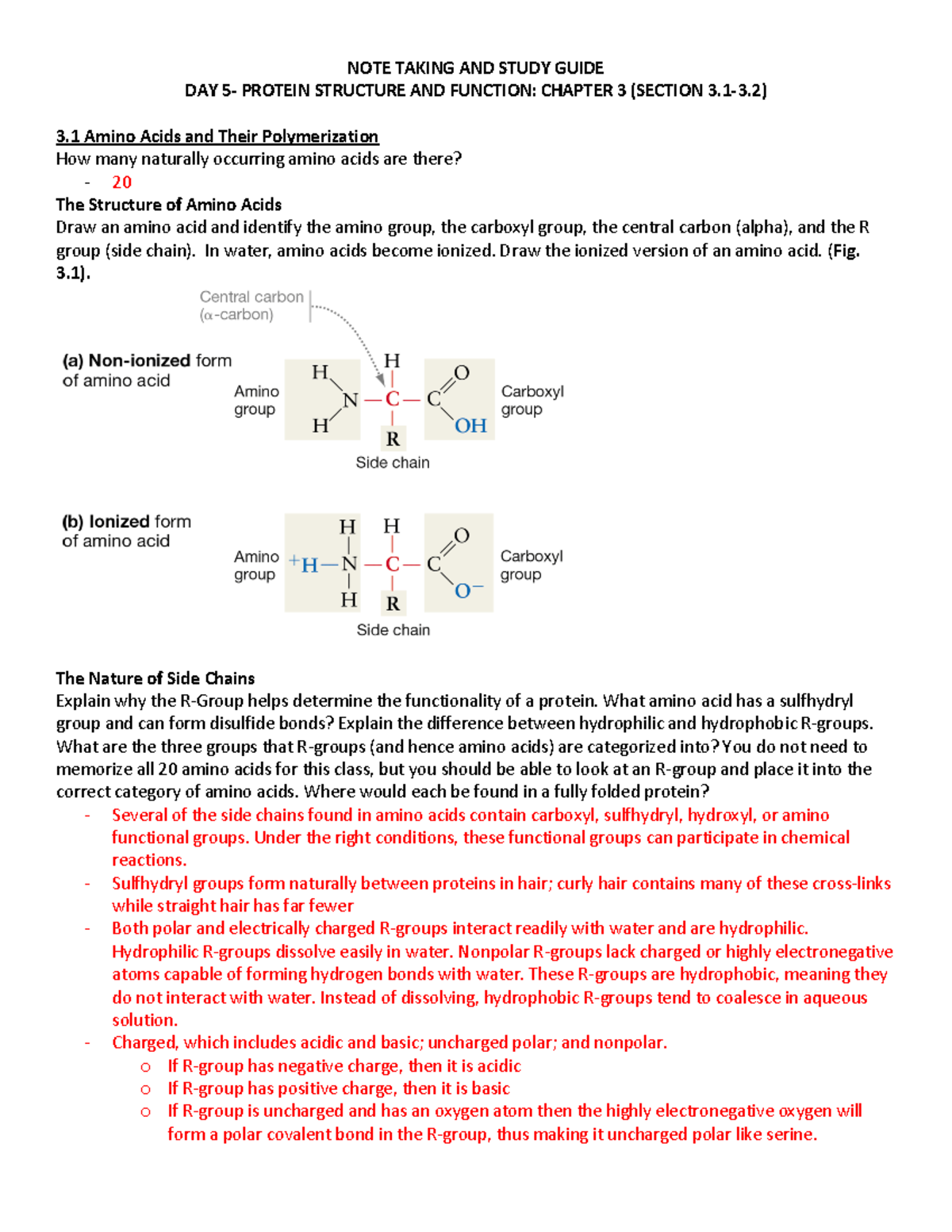 Day 5- Note-taking Guide Chapter 3-1,2 - NOTE TAKING AND STUDY GUIDE ...