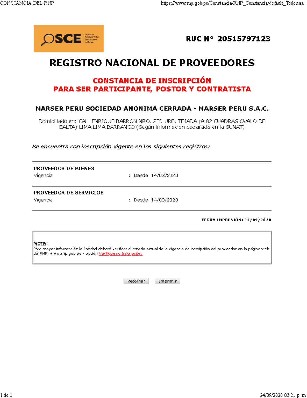 modelo de RNP para licitar con el estado Peruano - RUC N° 20515797123 ...
