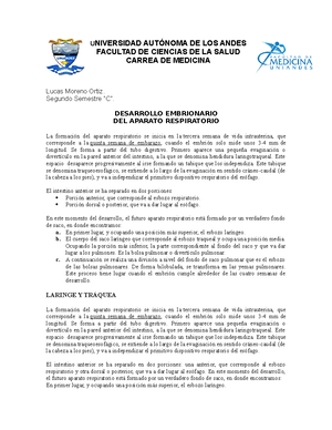 Resumen Malformaciones Congenitas AP - EmbriologÌa Malformaciones ...