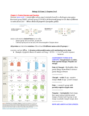 [Solved] What constitutes basal transcription factors vs regulatory ...