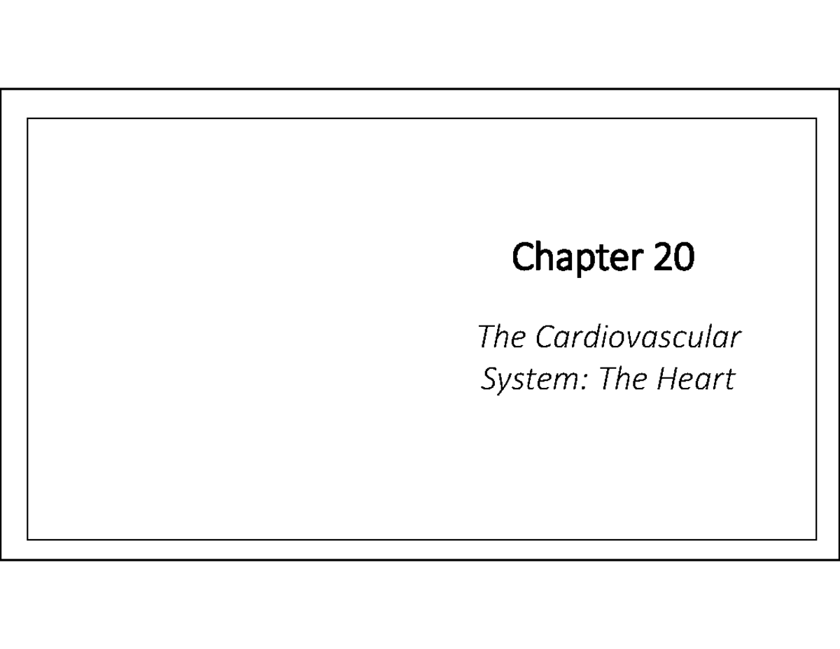 11 Heart anatomy Fall2018 Student - Chapter 20 The Cardiovascular ...