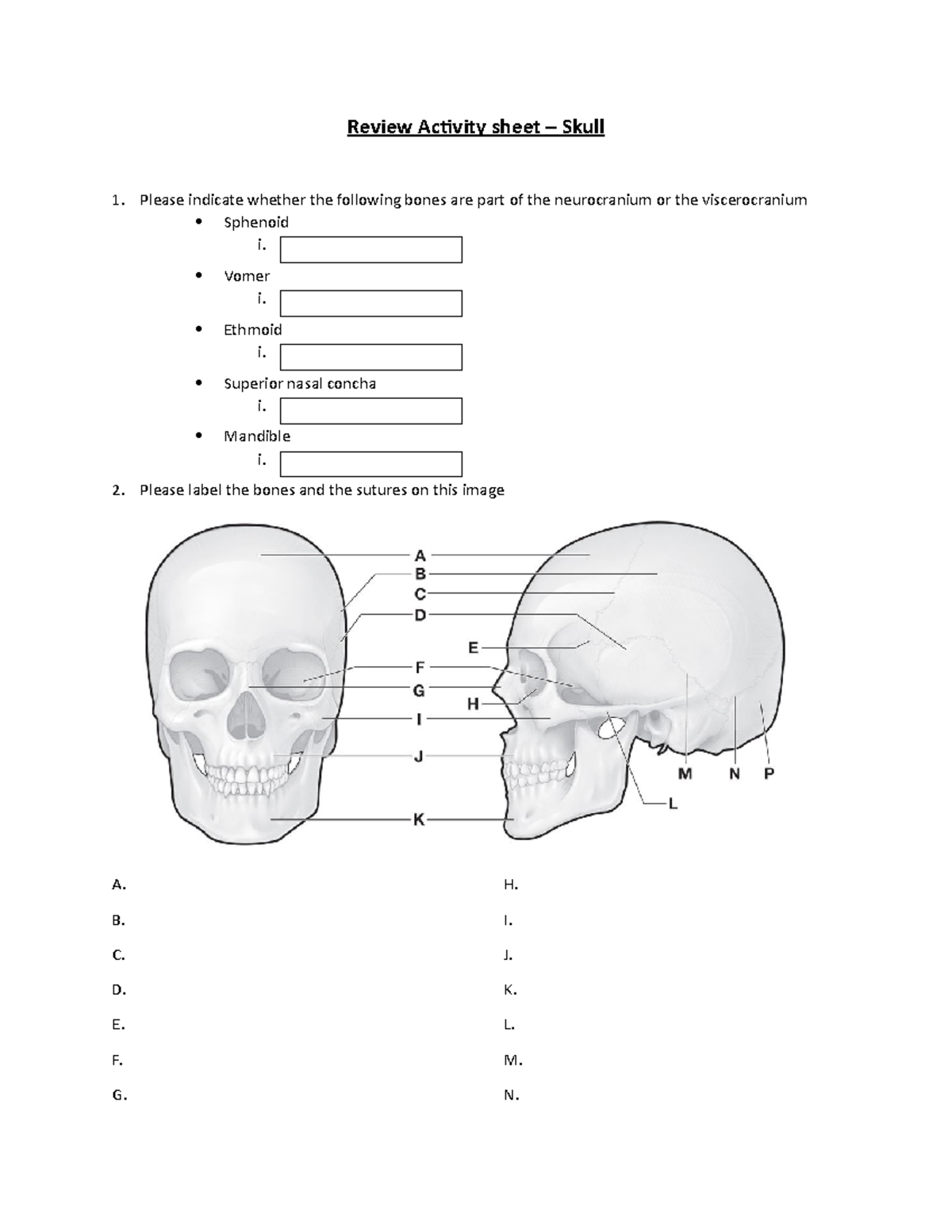 Skull work sheet - notes - Review Activity sheet – Skull Please ...