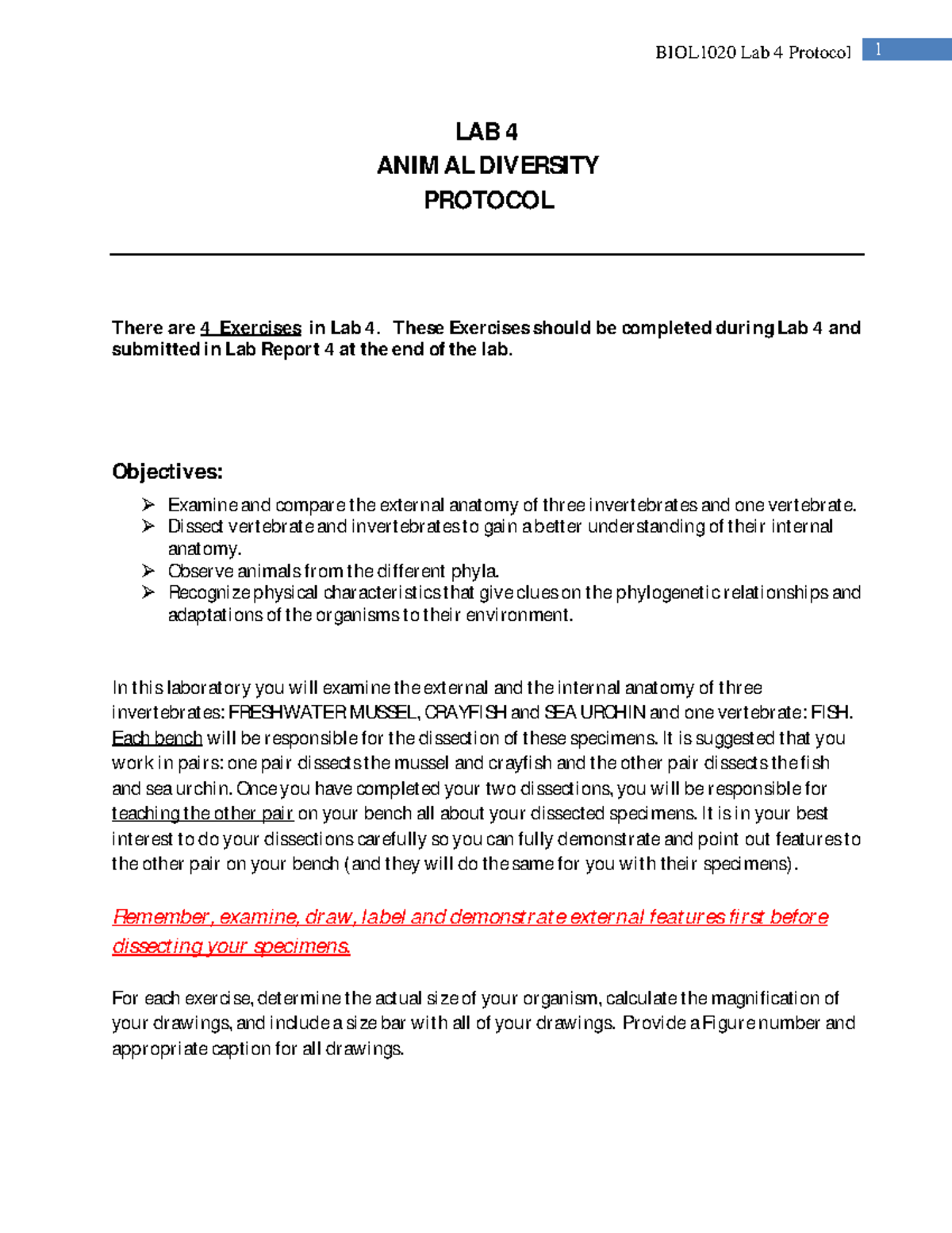 Lab 4-Protocol(1) - practice material - BIOL1020 Lab 4 Protocol LAB 4 ...