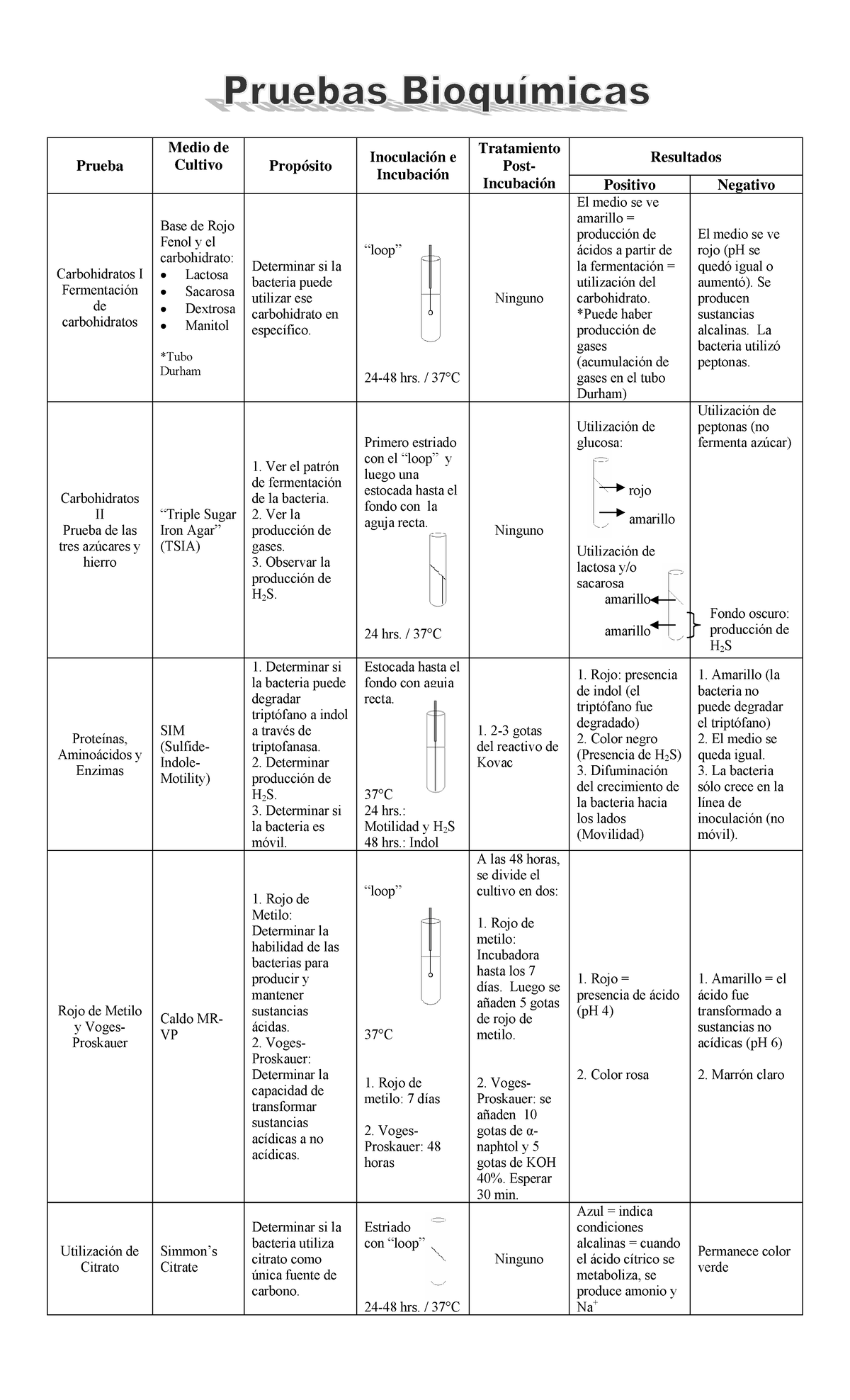 Pruebas bioquimicas - Resultados Prueba Medio de Cultivo Propósito Inoculación e Incubación ...