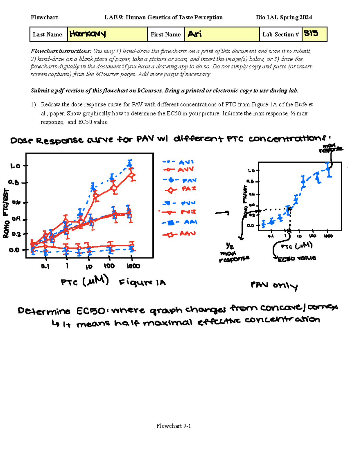 Lab 9 - Human Genetics and Taste Perception Flowchart Sp24 - Flowchart ...