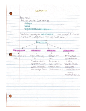 Flow Chart muscle excitation coupling contraction - BIO 315_Davis T_Sp ...