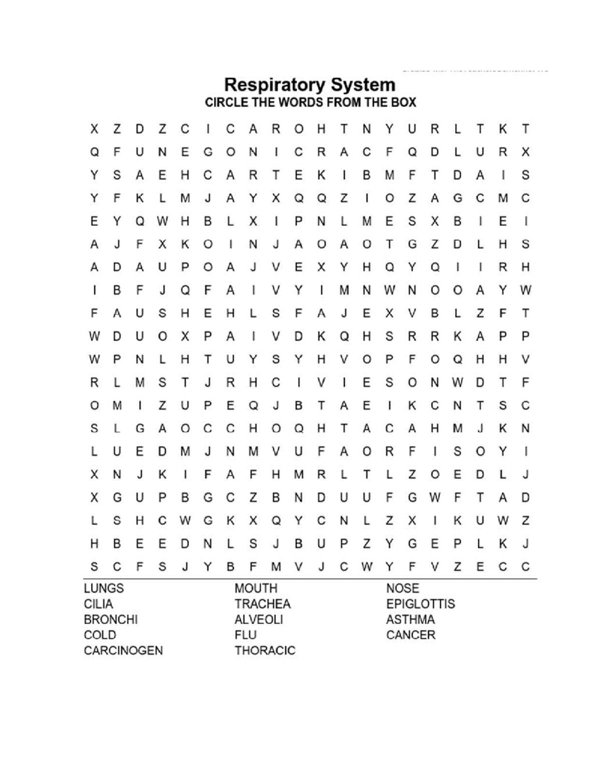 Respiratory System - MATERIAL DE APOYO PARA LA UNIDAD DEL SISTEMA ...