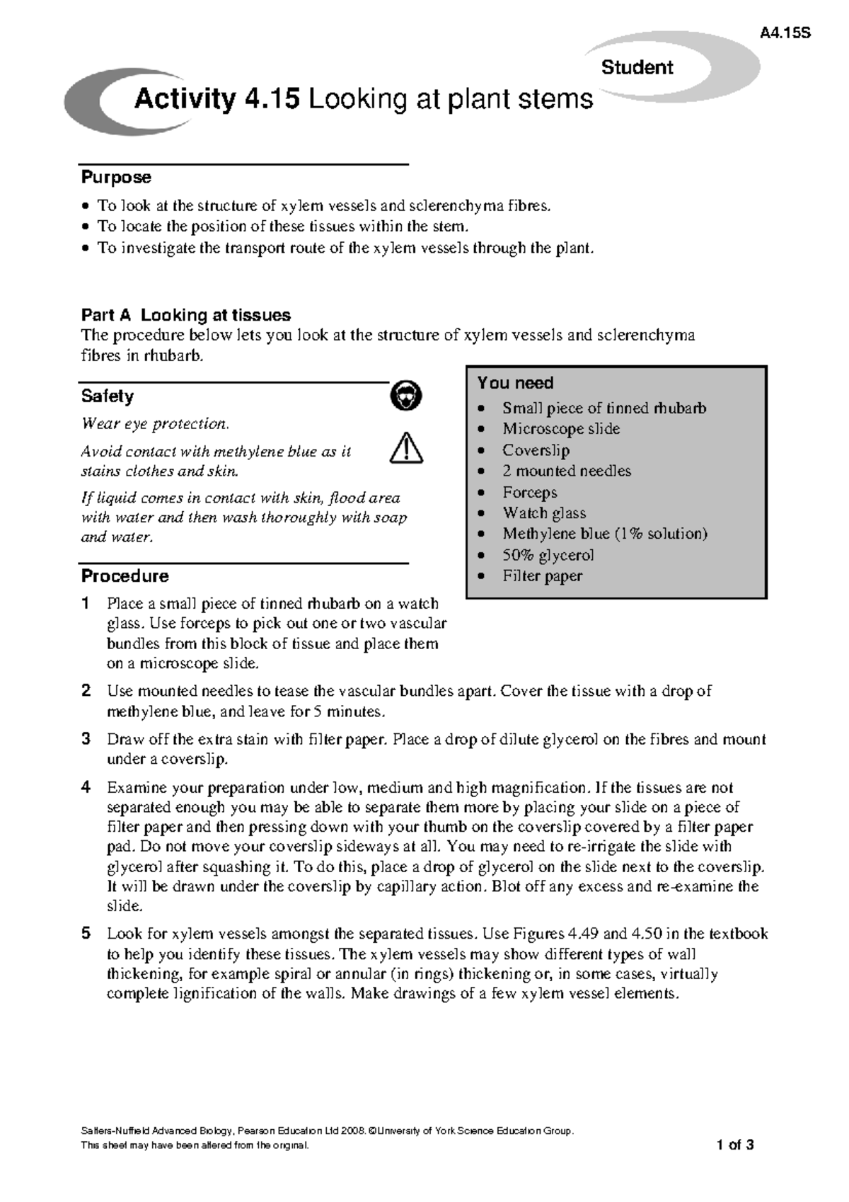Looking at plant stems - Class notes - Activity 4 Looking at plant ...