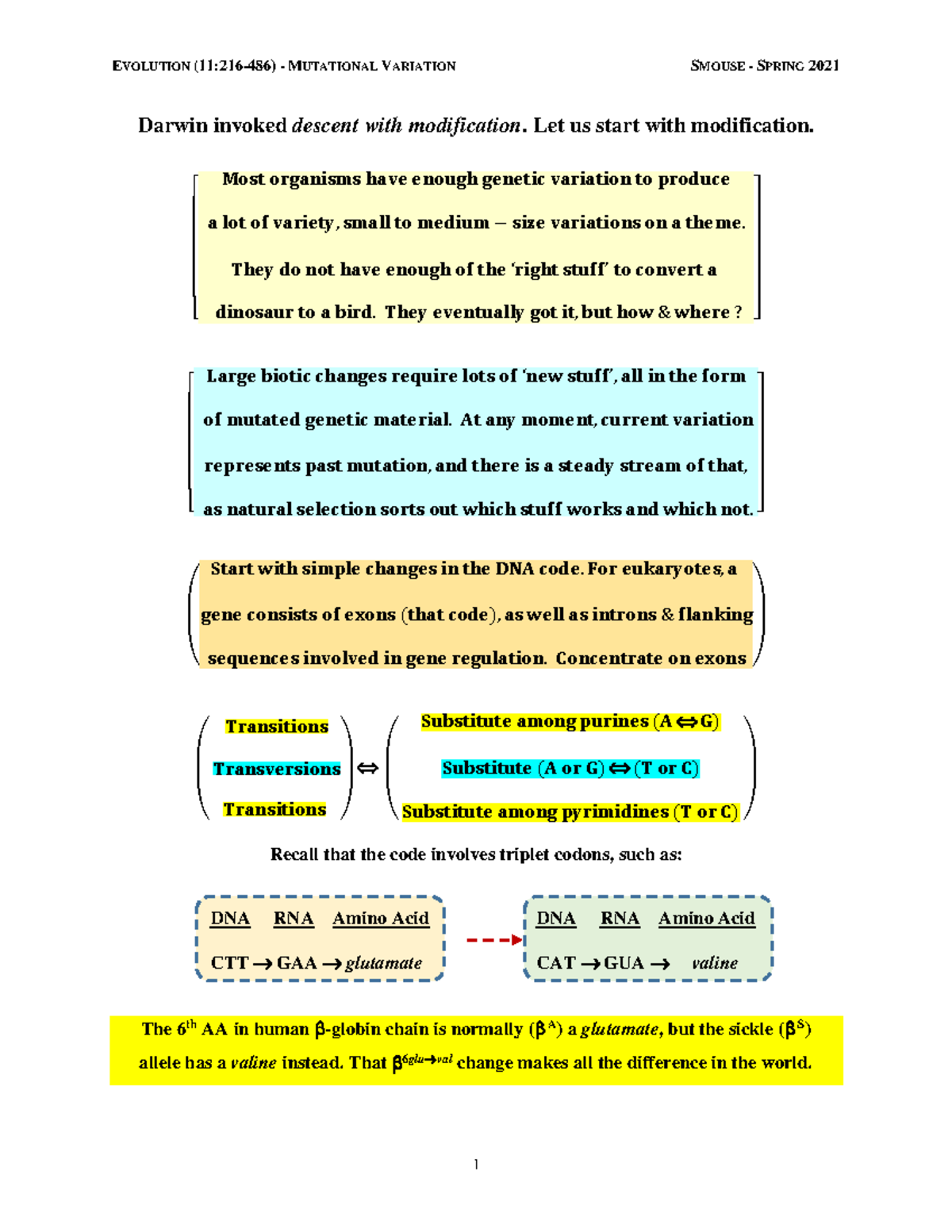 EVOL 2021 10 Mutation Visual - Darwin invoked descent with modification ...