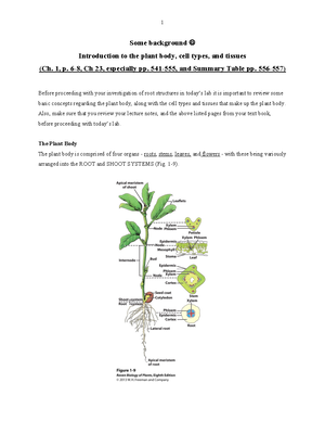 Chapter 7 - Summery of DNA Structure - THE GENETIC (Hereditary ...