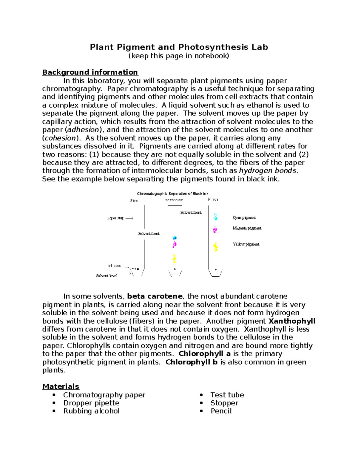 Chromatography lab Pre AP - Plant Pigment and Photosynthesis Lab (keep ...