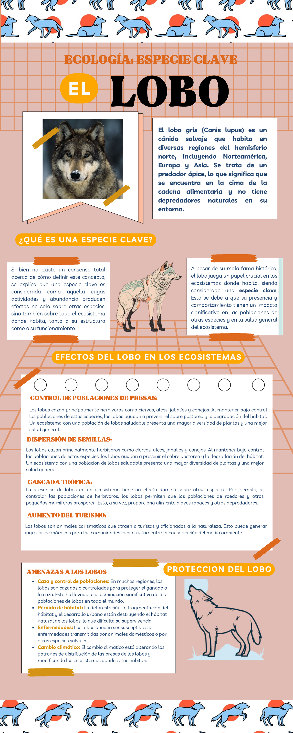 El lobo - LOBO El lobo gris (Canis lupus) es un cánido salvaje que ...