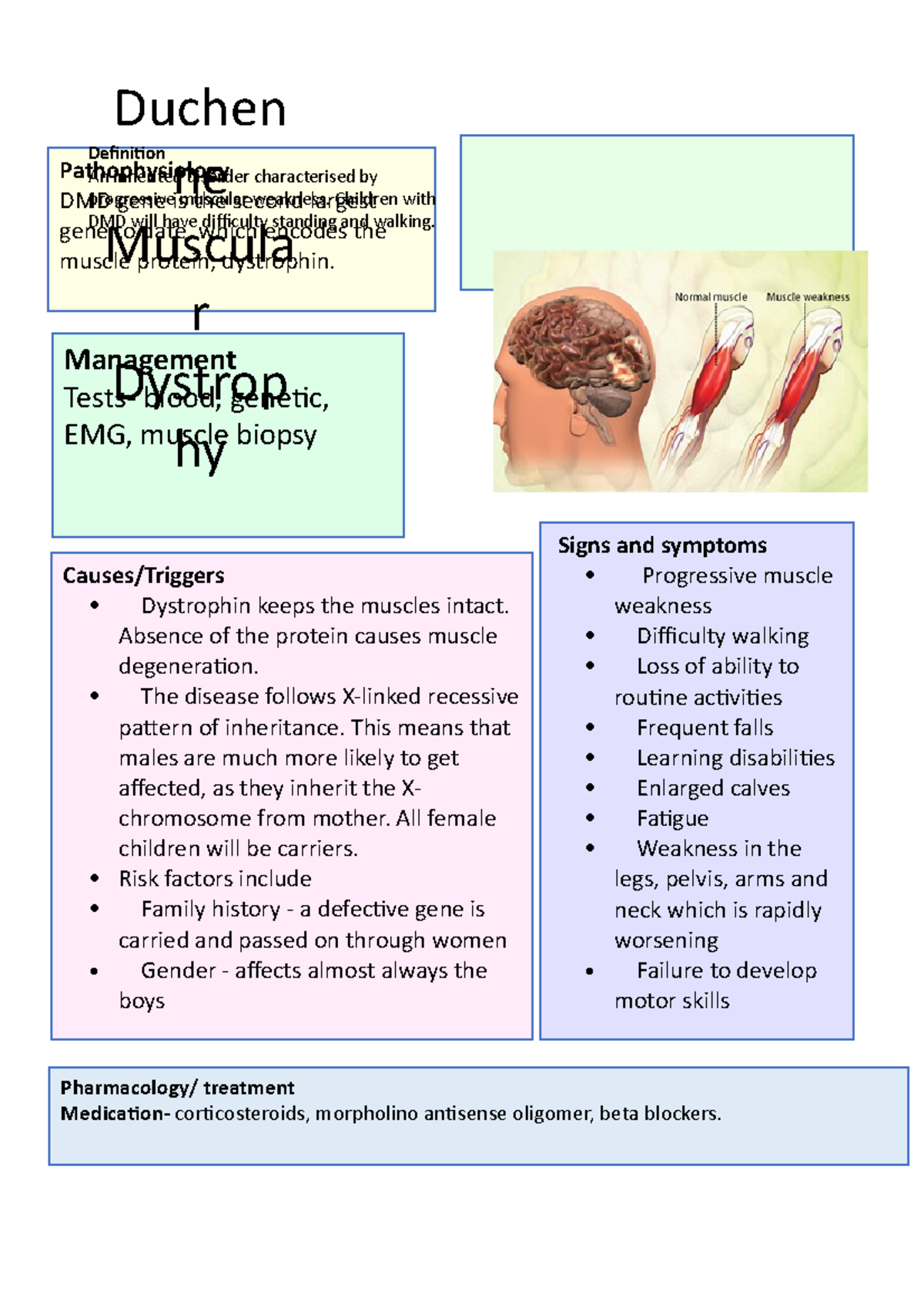 Duchenne muscular dystrophy - Signs and symptoms Progressive muscle ...