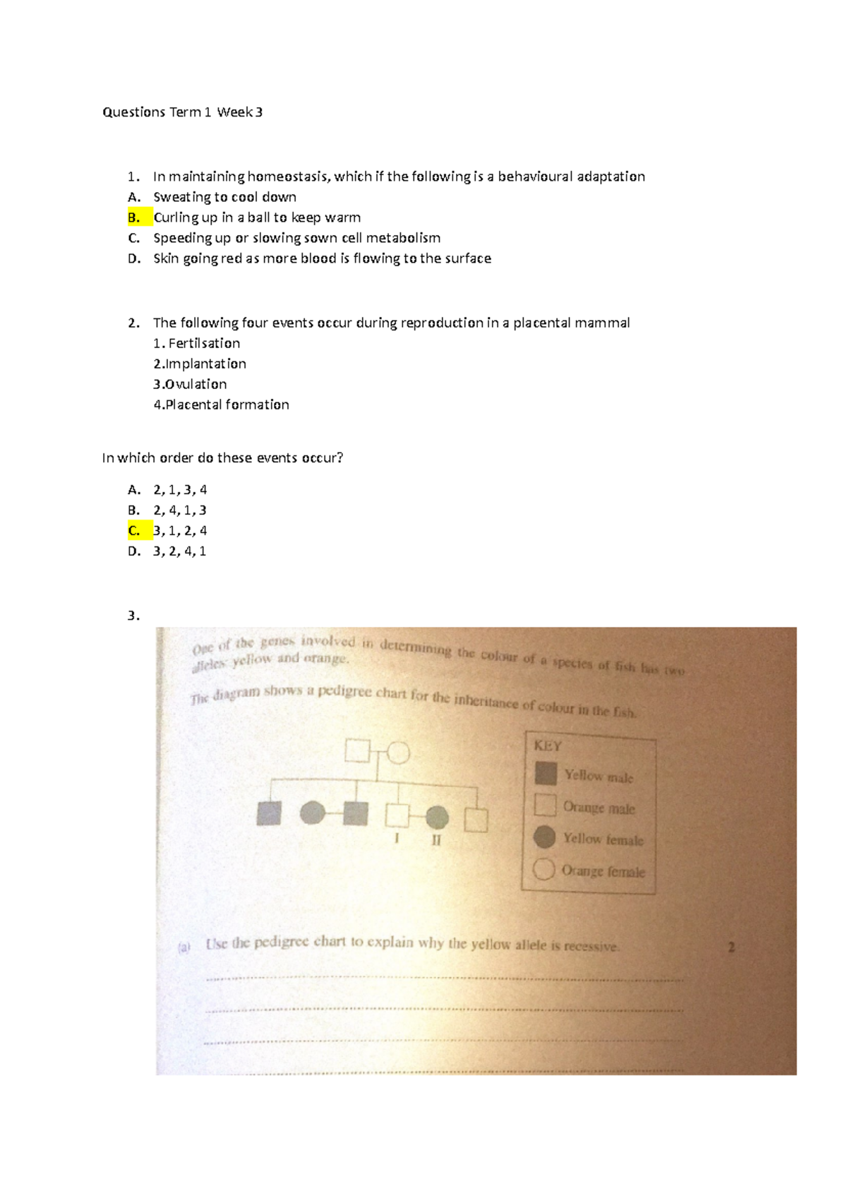 Questions Term 1 Week 2 - Used for an assessment task - Questions Term ...