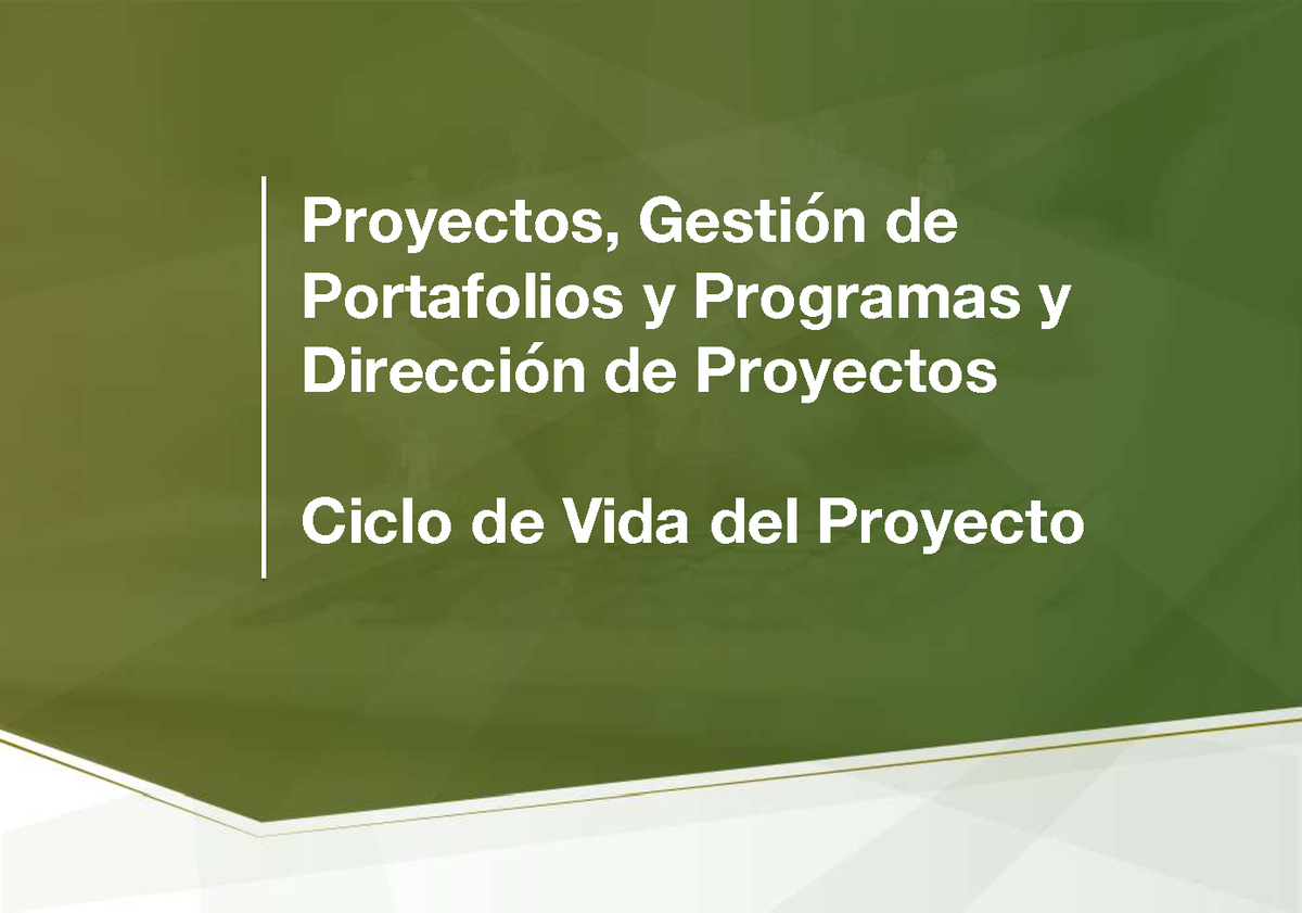GESTIÓN DE PROYECTOS DE INGENIERIA - Proyectos, Gestión de Portafolios ...
