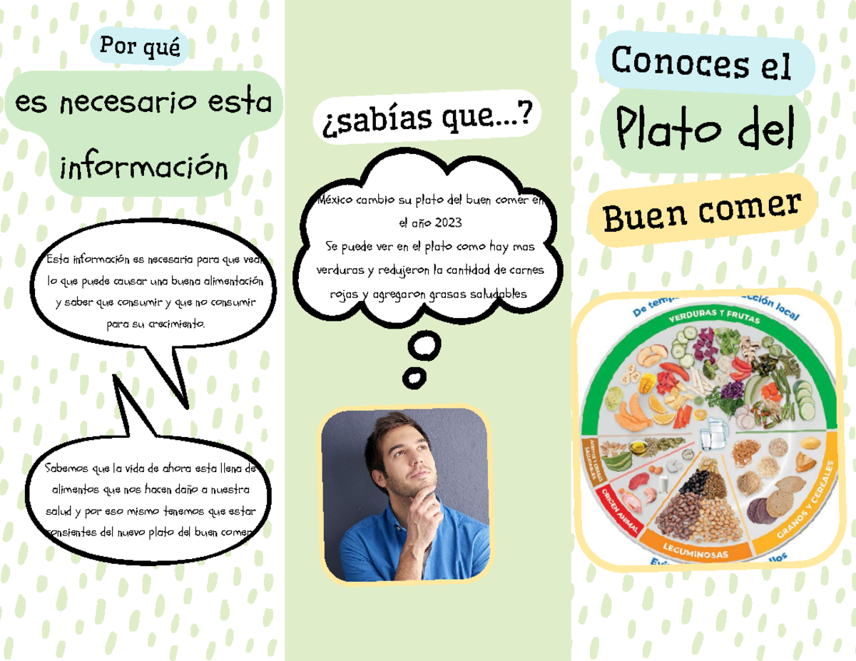 Folleto Tríptico Comida Fruta Infantil Divertido Multicolor - Plato del ...