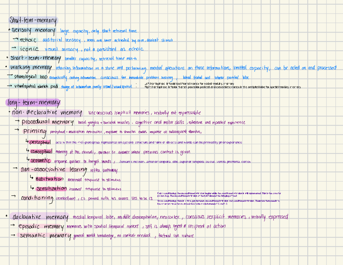 Zusammenfassung Lernen - Left hemisphere: inferolateral frontal cortex ...