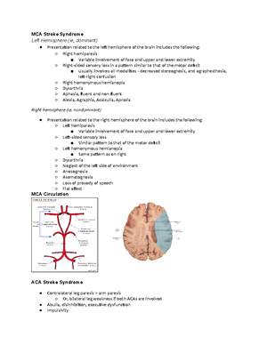 Management of Transient Ischemic Attack and Asymptomatic Carotid Bruit ...