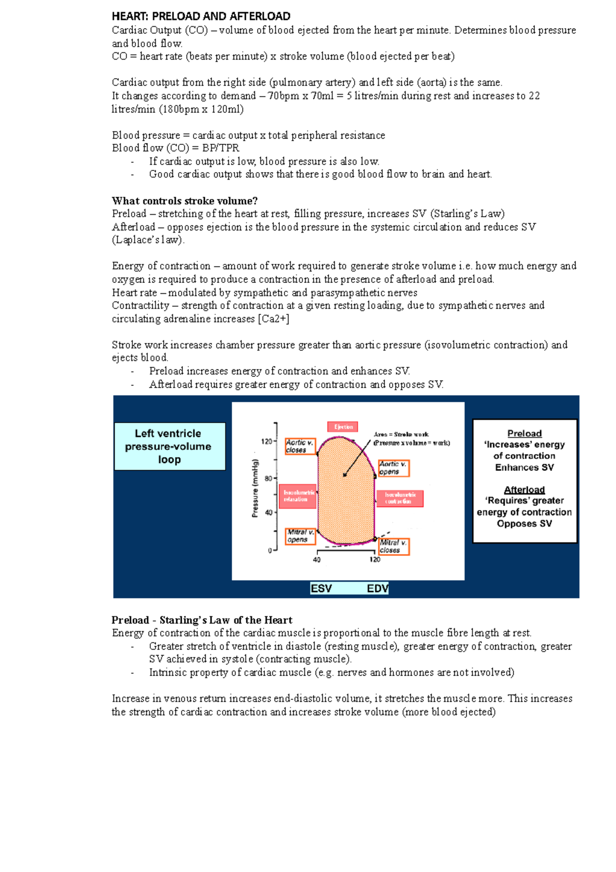 Afterload AND Preload - CVS - HEART: PRELOAD AND AFTERLOAD Cardiac ...