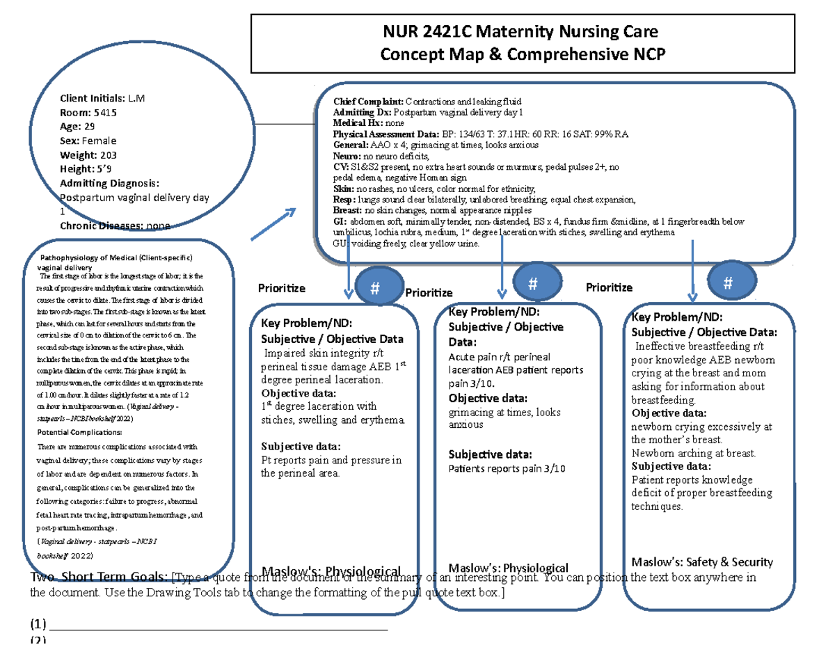 L.M OB Concept Map - NCP Template - Miami - Plan of care: Continue/revise/d - Studocu