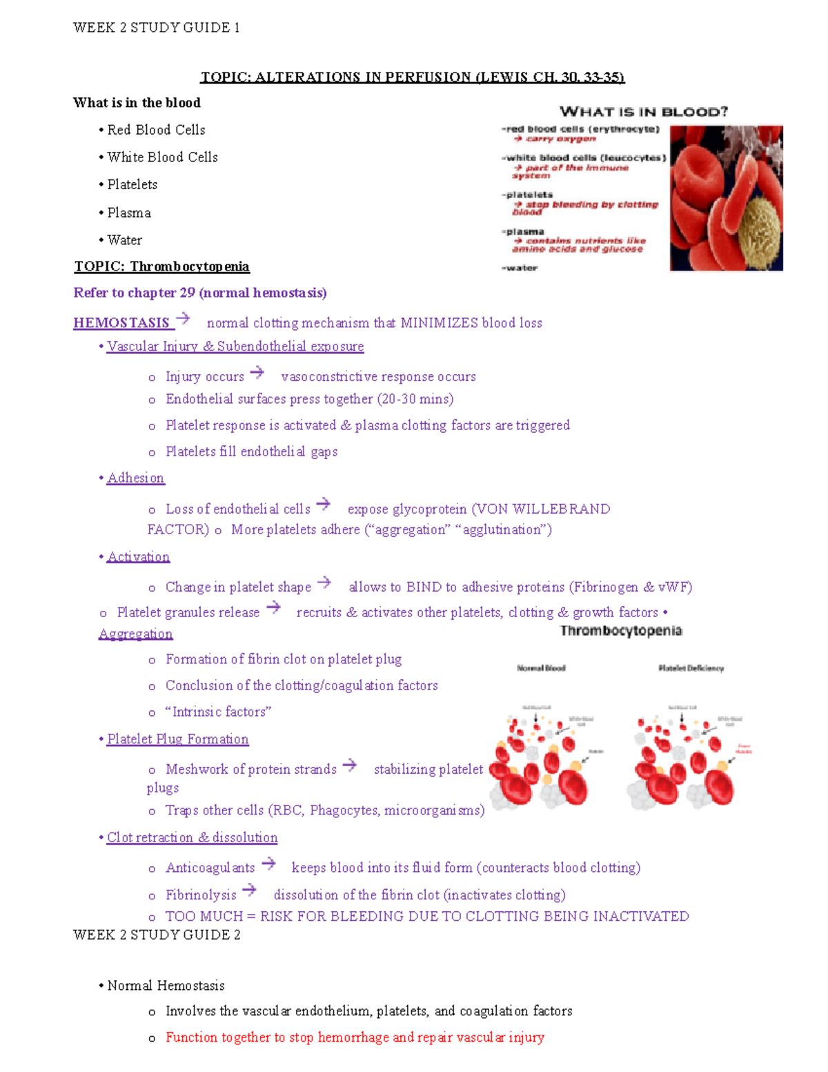 WEEK 2 Study guide - notes - WEEK 2 STUDY GUIDE 1 TOPIC: ALTERATIONS IN ...